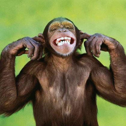 Language of the Blues: SIGNIFYING – American Blues Scene