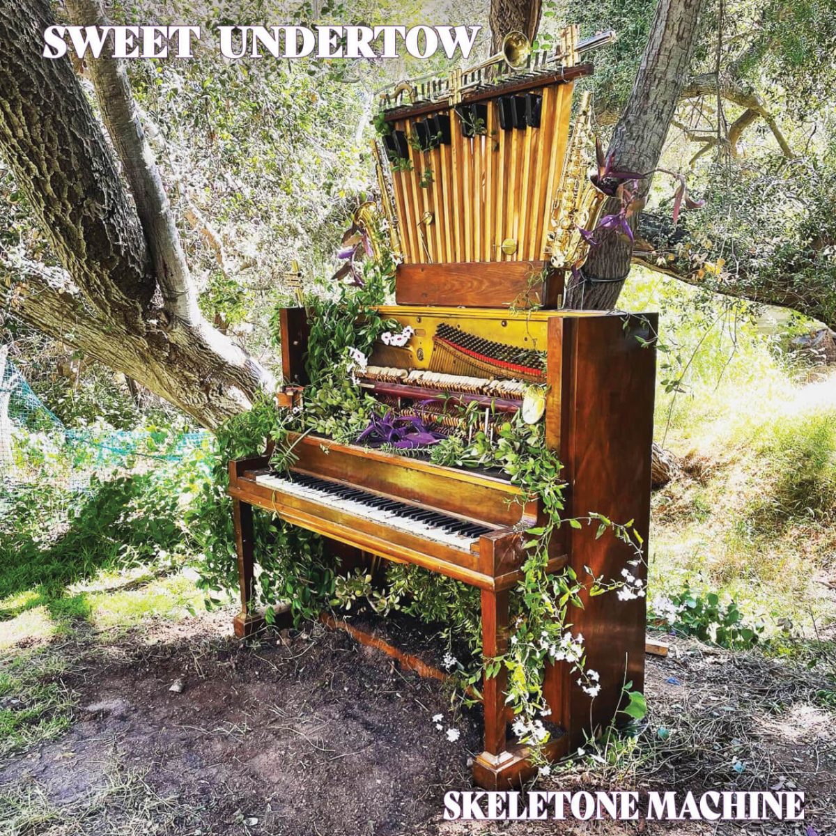Exclusive Video Premiere: Sweet Undertow Makes the ‘Rain Catch Flame ...