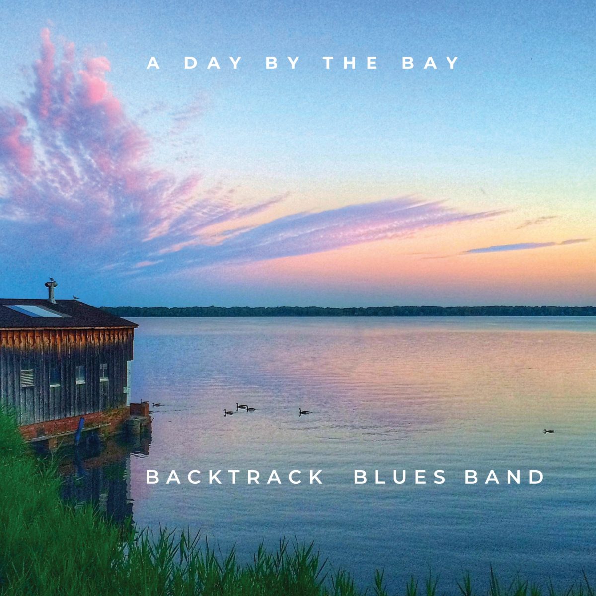 Gulf Coast Records Announces the Signing of Celebrated Backtrack Blues ...