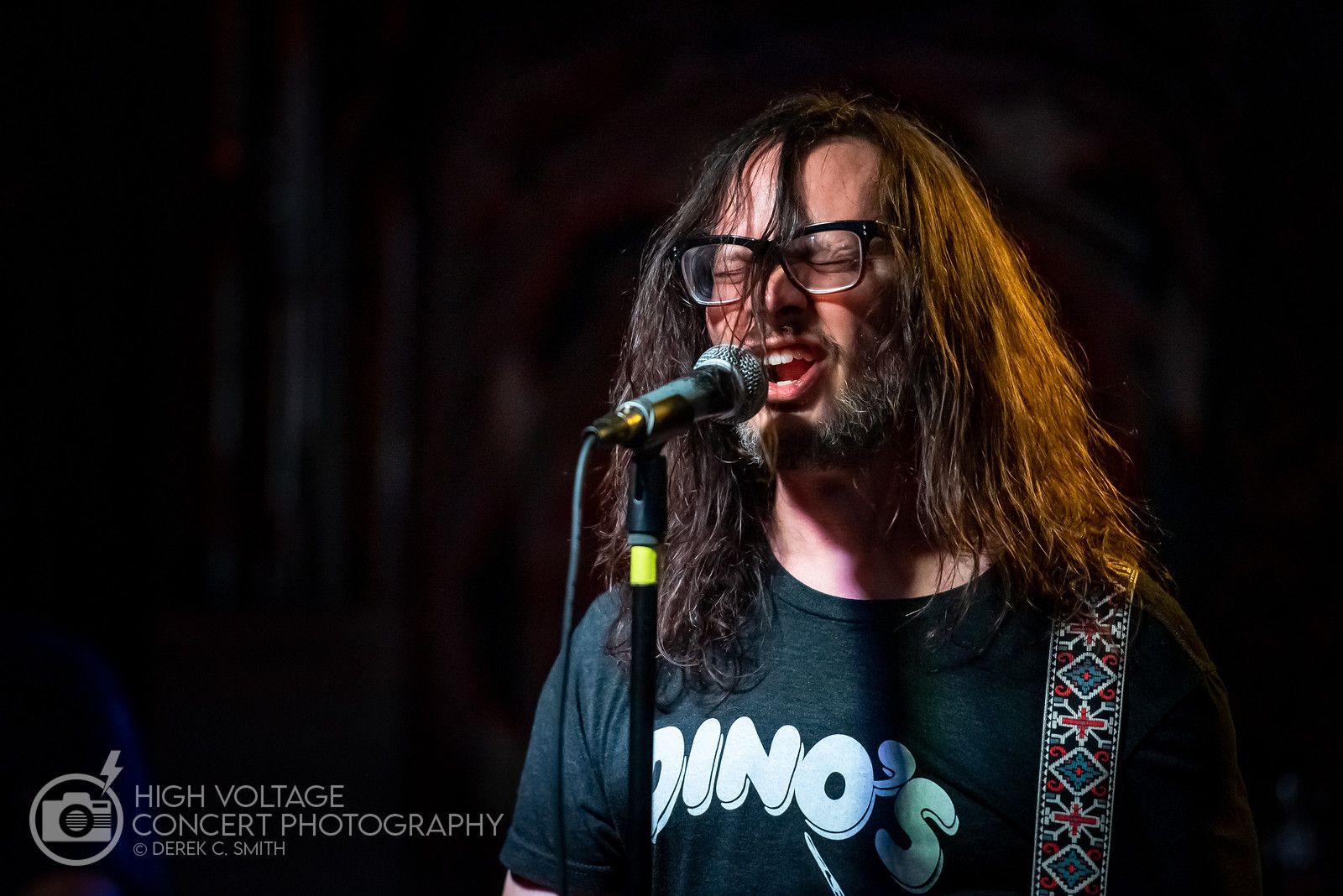 Model Citizen Kicks Out The Jams in Chicago – American Blues Scene