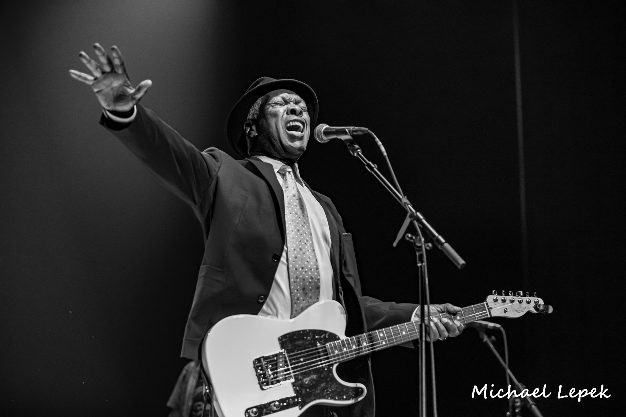 Review/Gallery: An Engaging Journey Into the Musical Mind of Booker T ...