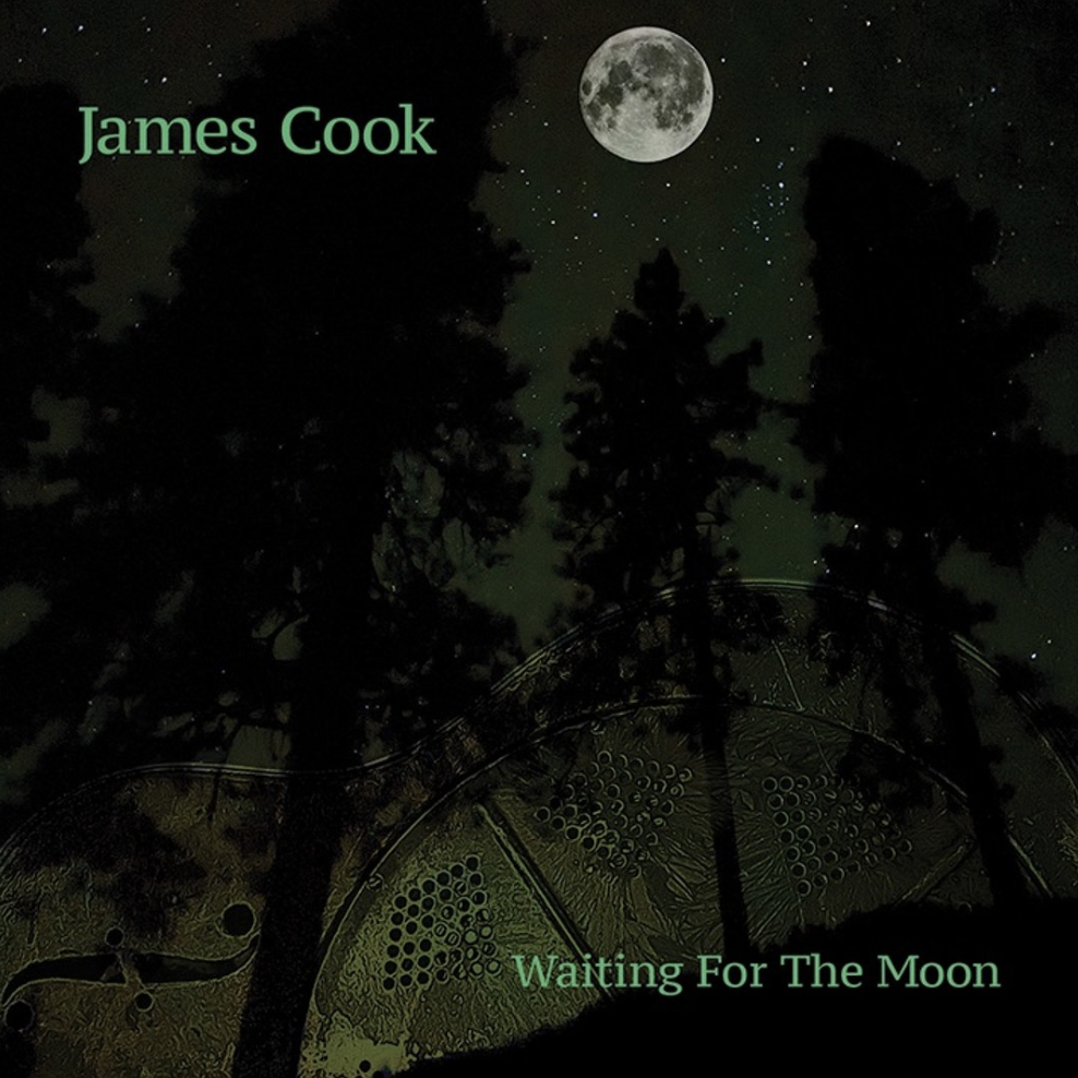 Exclusive Album Premiere & Interview: In Tune With James Cook ...